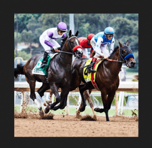 Trixie bets offer inflated returns on bets with low stakes.